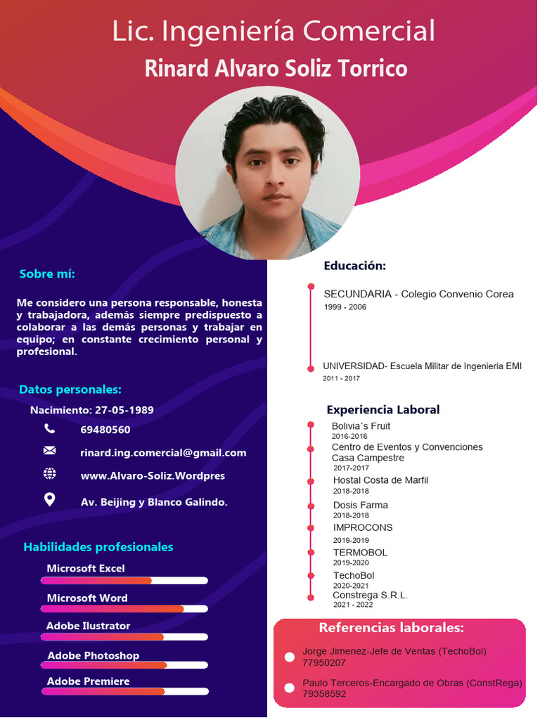 Curriculum Rinard Alvaro Soliz - Compressed | PDF | Marketing | Informática