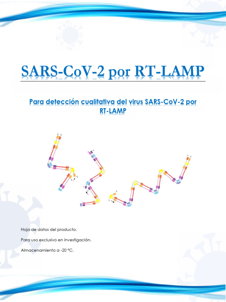 Manual KIT RCT LAMP en Saliva | PDF | Reacción en cadena de la ...