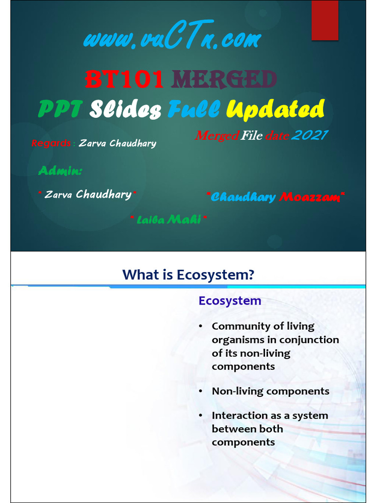 BT101 Merged PPT Slides Full Updated | PDF | Food Web | Primary Production