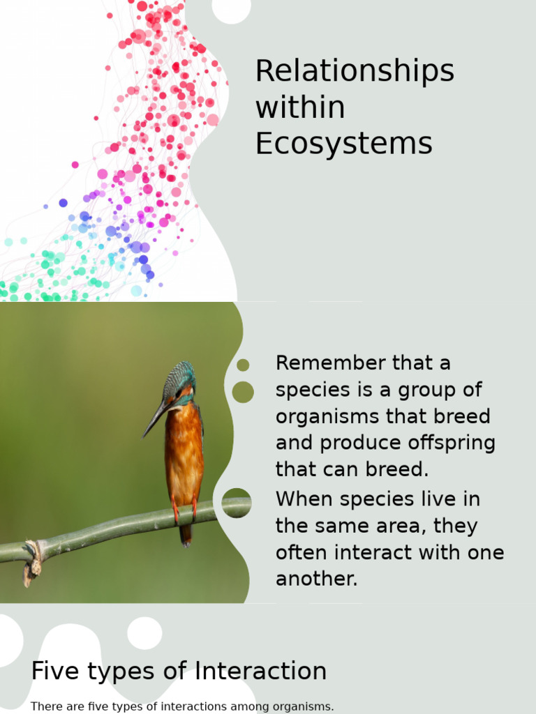 Ecological Relationships | PDF | Symbiosis | Parasitism