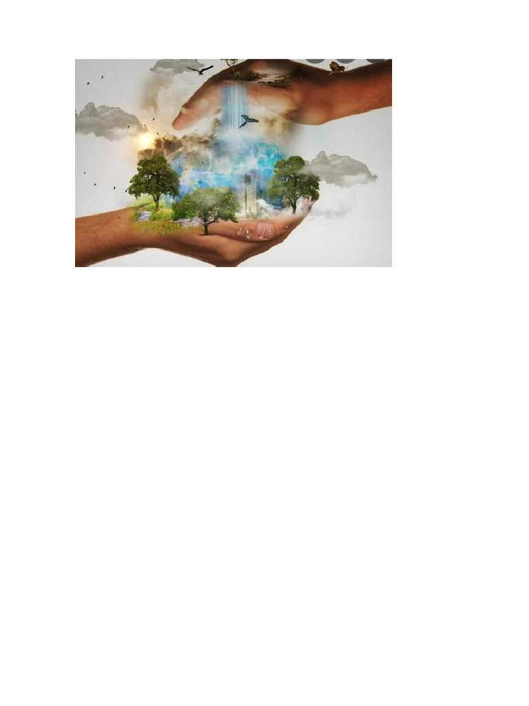 Habilidades Digitales Aplicadas - E2 - # 81 | PDF