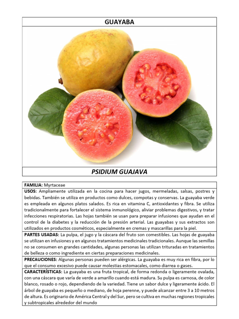 Guayaba | PDF
