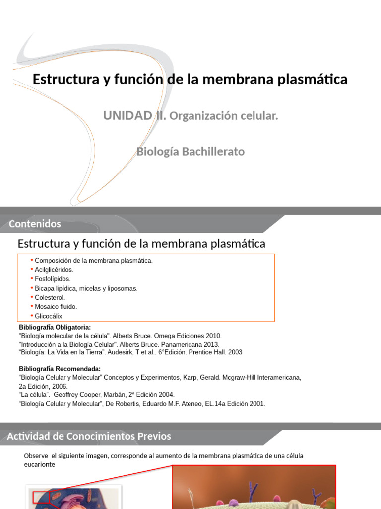 Clase - Estructura y Función de La Membrana Plasmática | PDF | Membrana biológica | Lípido