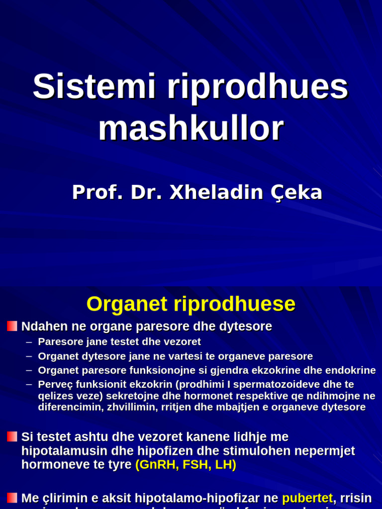 Sistemi Riprodhues Mashkullor 2020 | PDF