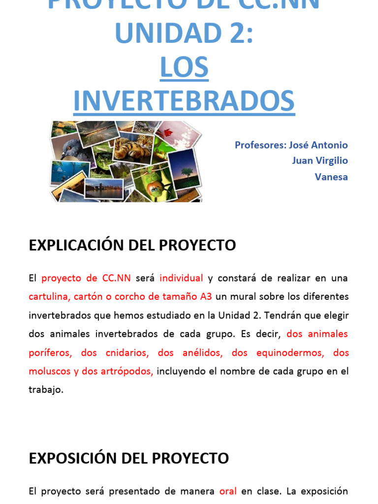 Proyecto CCNN | PDF