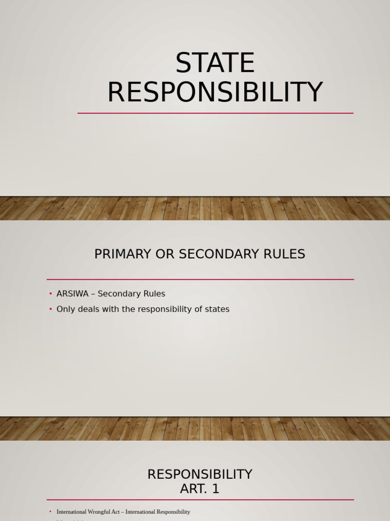 STATE RESPONSIBILITY | PDF | International Relations | Justice