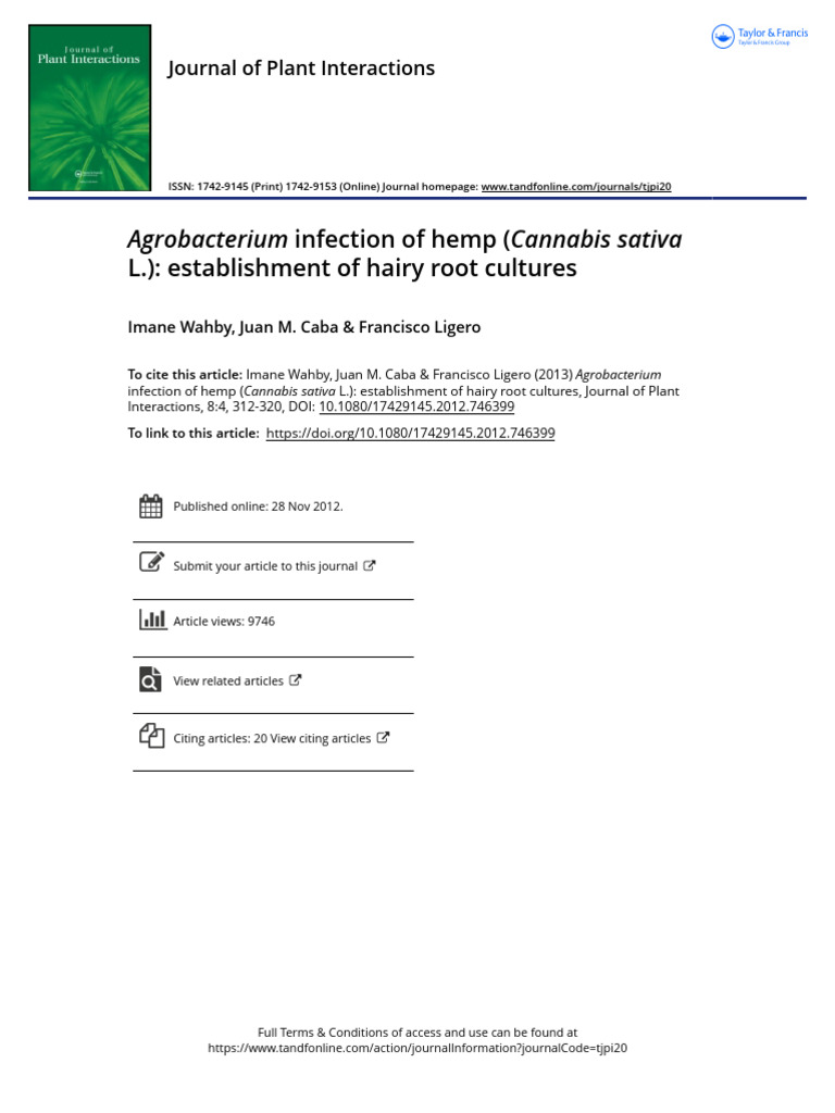 Hemp Hairy Root Cultures Study | PDF | Biology
