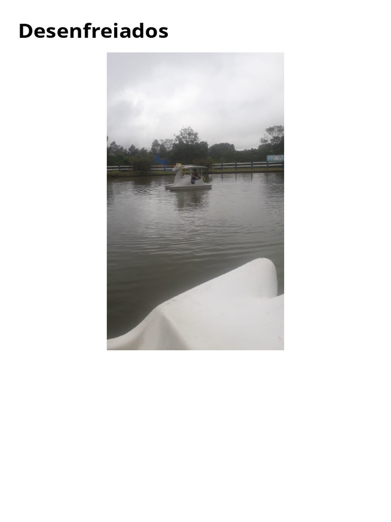 Desenfreiados 20241213 - 174418 - 0000 | PDF