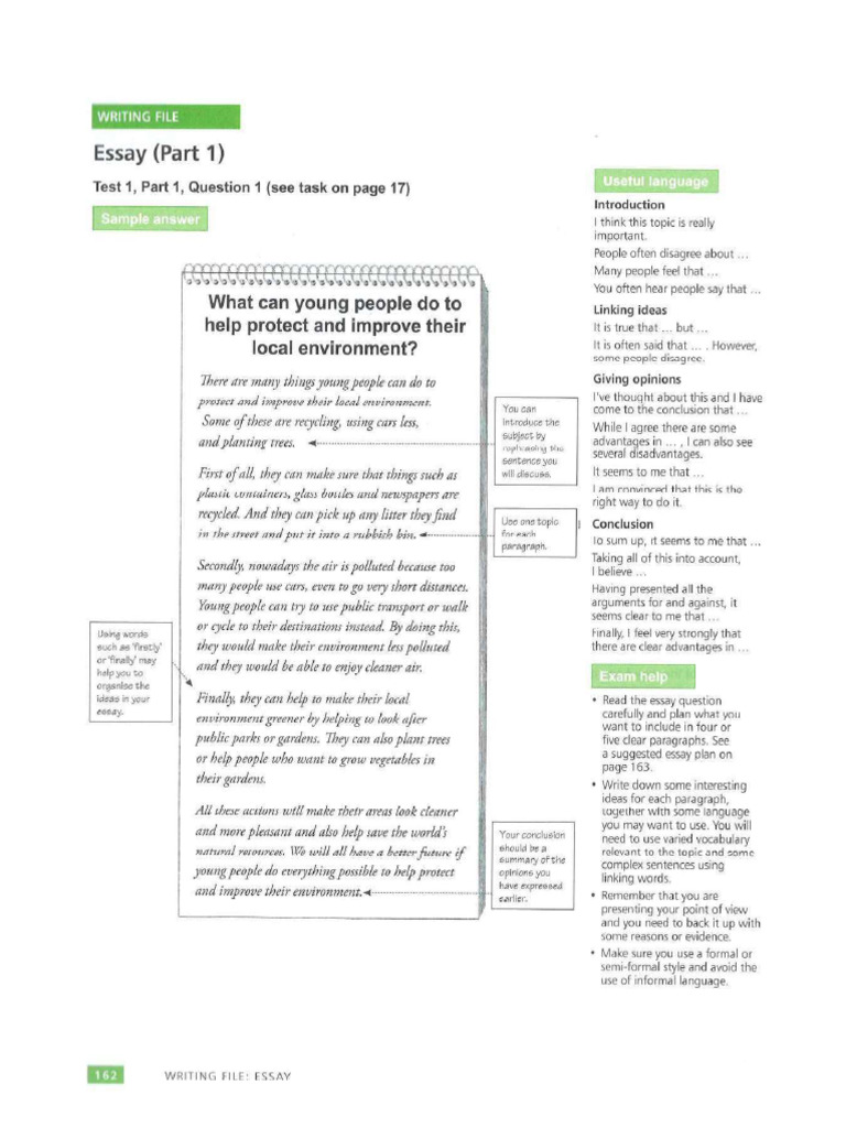 Essay Fce | PDF