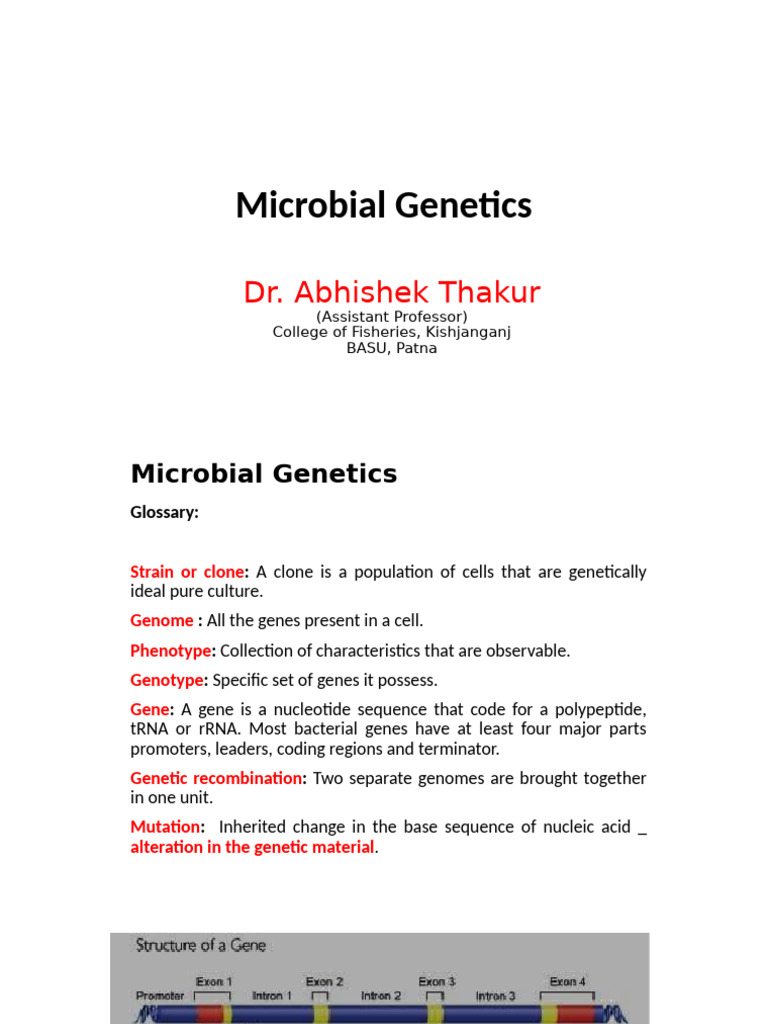 Microbial Genetics | PDF | Plasmid | Mutation