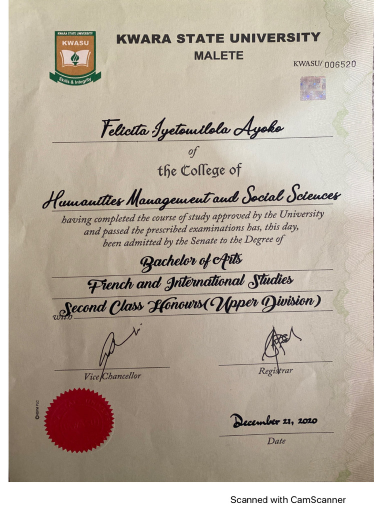 BSC CERTIFICATE | PDF