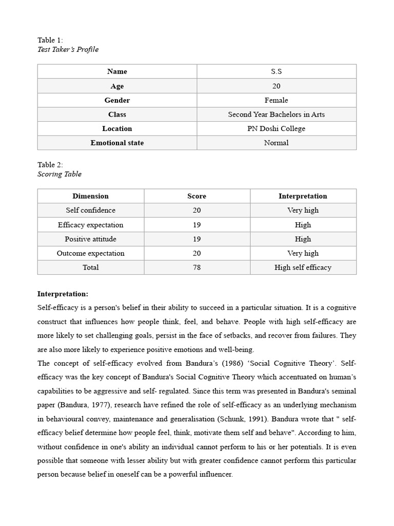 SES INTERPRETATION | PDF | Self Efficacy | Self Esteem