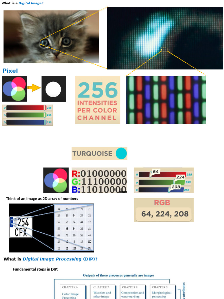 Understanding Digital Image Processing | PDF