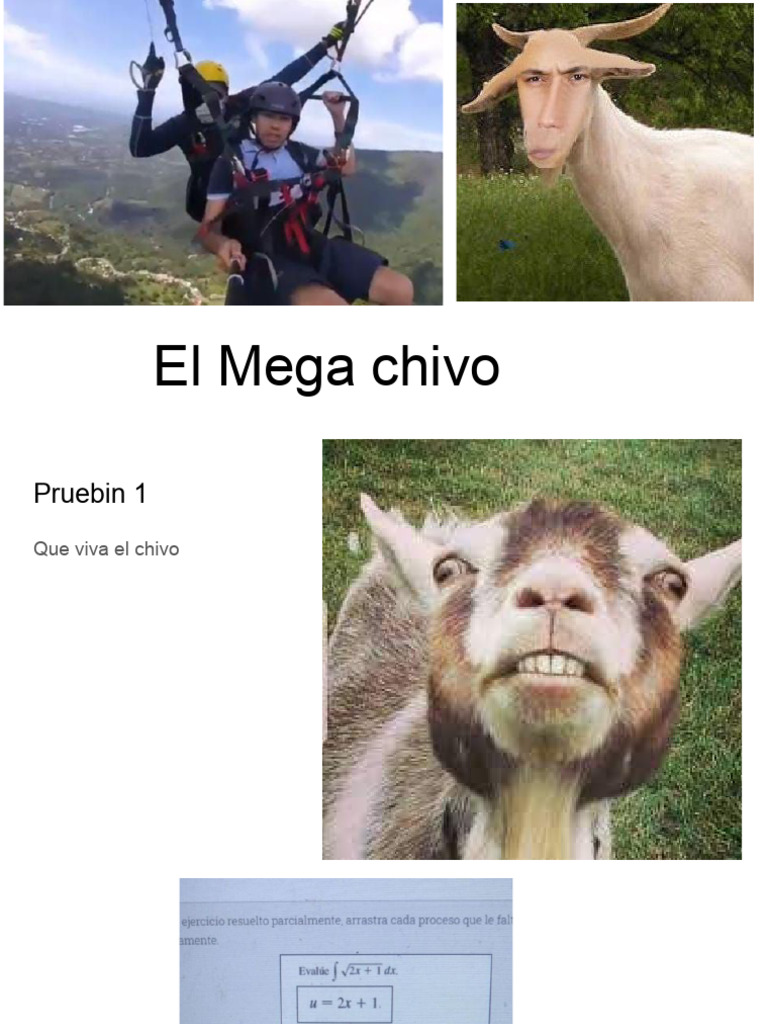Guía de Integrales y Ecuaciones | PDF