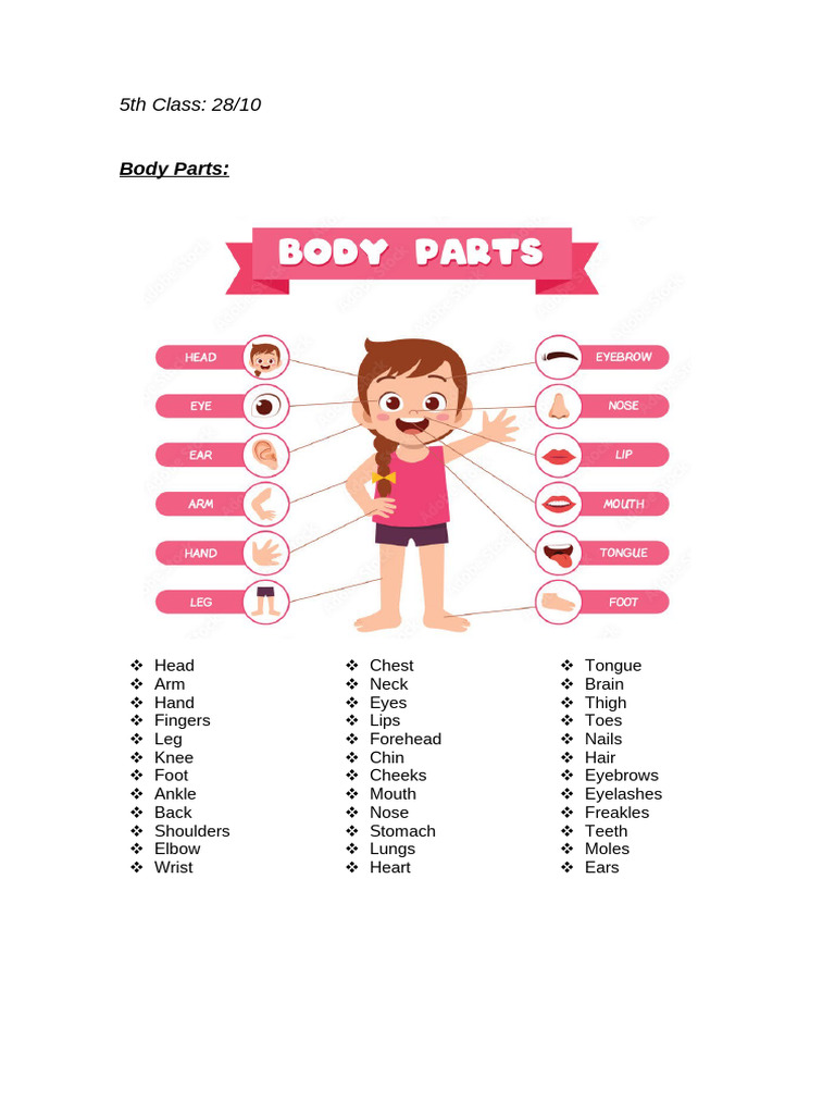 5th Class - Sofi | PDF | Volleyball
