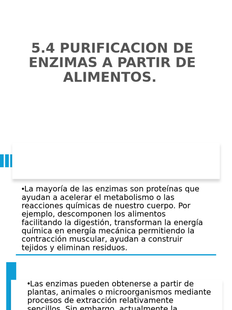 Enzinas Saul Rivera | PDF