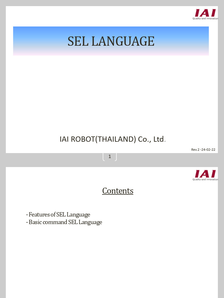 2.SEL Language Seminar 2022 | PDF | Input/Output | Acceleration