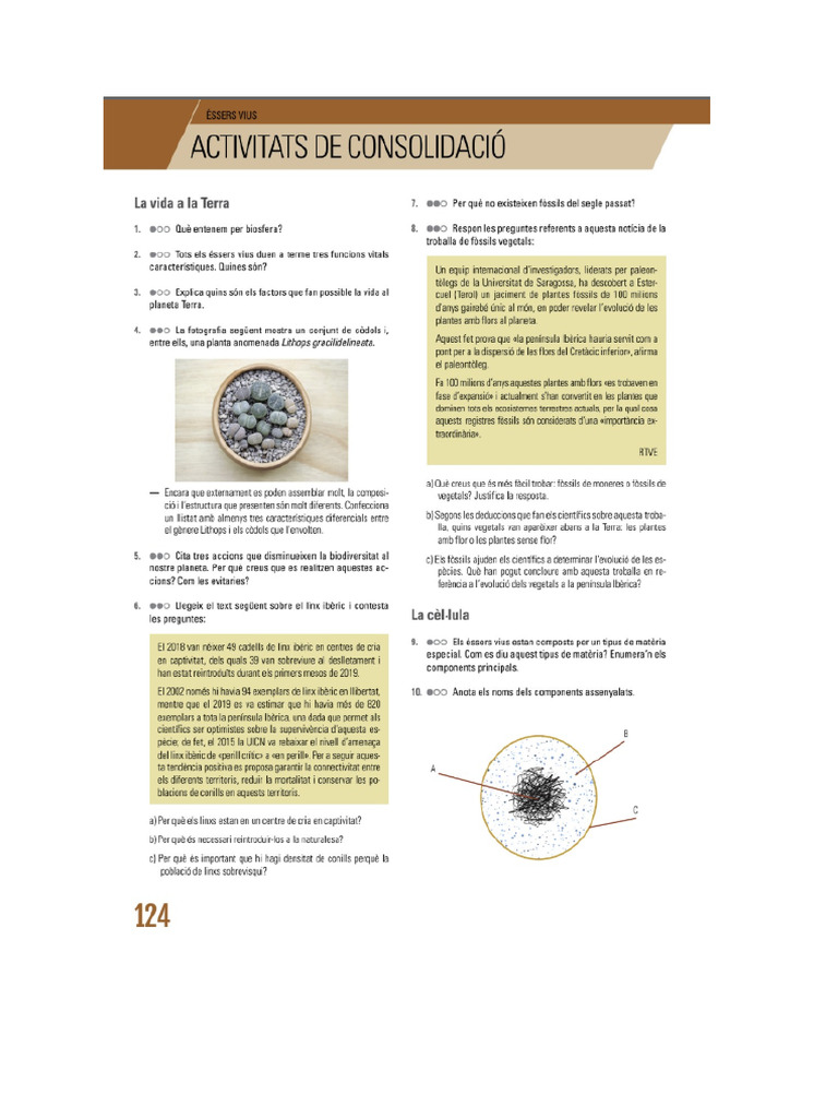 Documento sin título - Documentos de Google | PDF