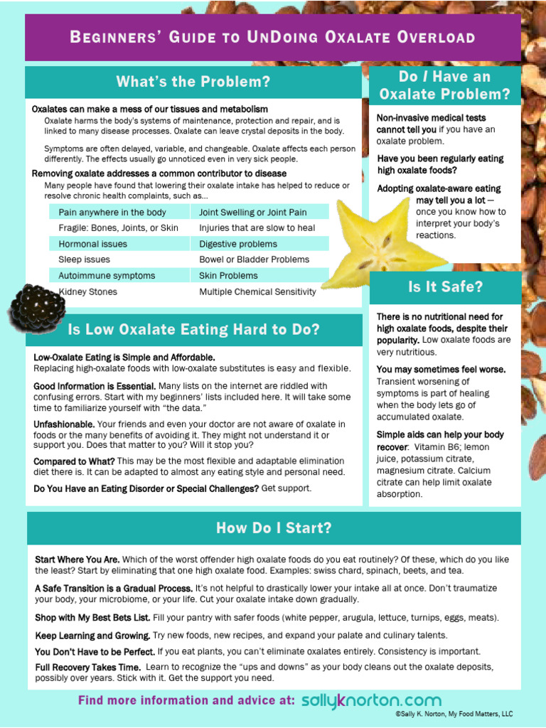 02-Beginners Guide Overload SM | PDF | Foods | Fruit