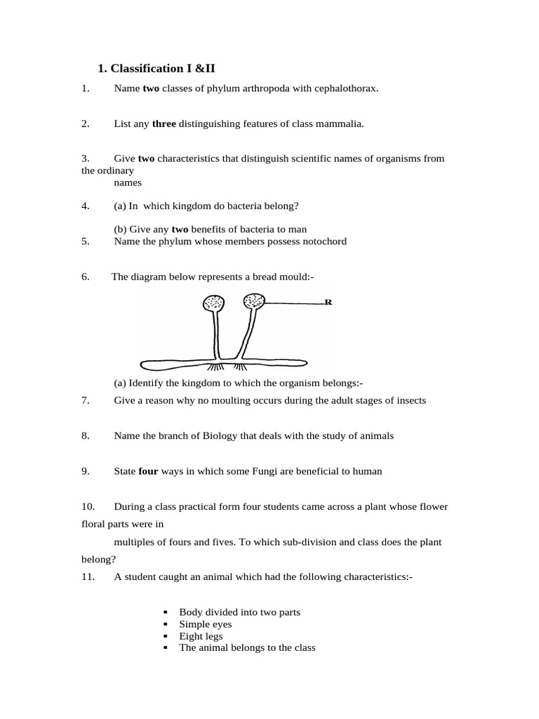 Classification 1 and 2, Qnts N Ans | PDF | Fungus | Taxonomy (Biology)