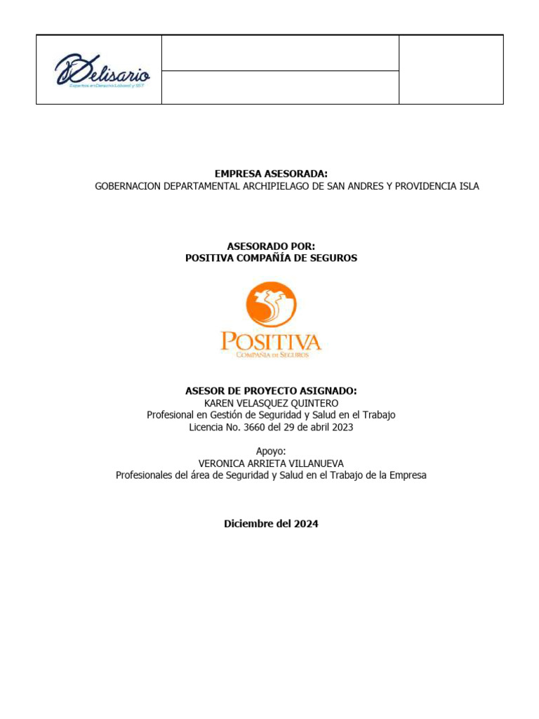 PLAN DE TRABAJO 2025 | PDF