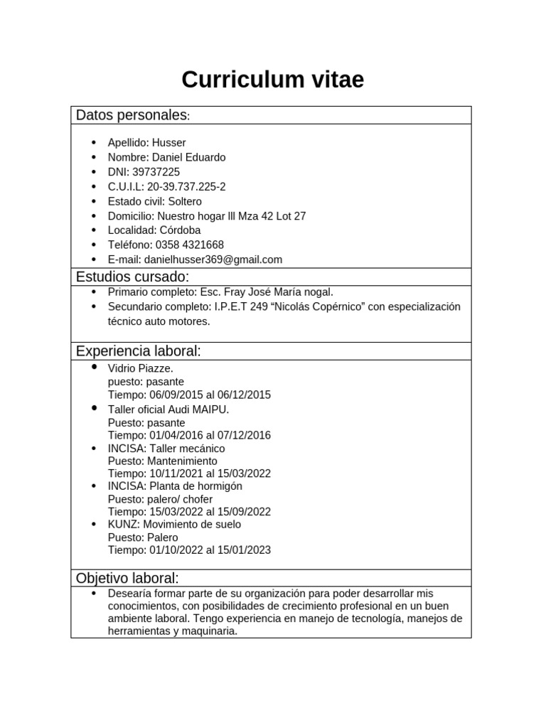 Curriculum Vitae Daniel | PDF