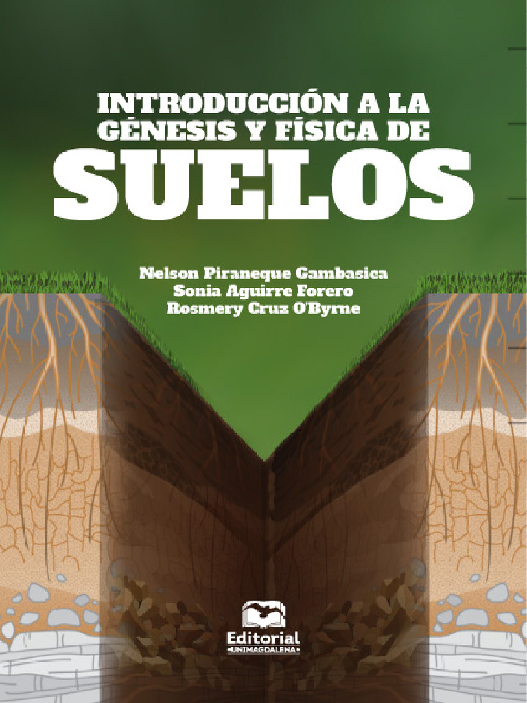 Introduccion a la genesis y fisica de suelos | PDF | Roca sedimentaria ...