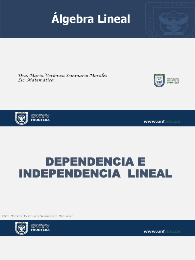 4 Dependencia e Independencia Lineal | PDF | Espacio vectorial | Base (álgebra lineal)
