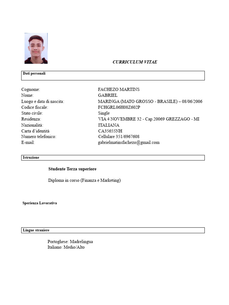 Curriculum Vitae Gabriel Martins | PDF