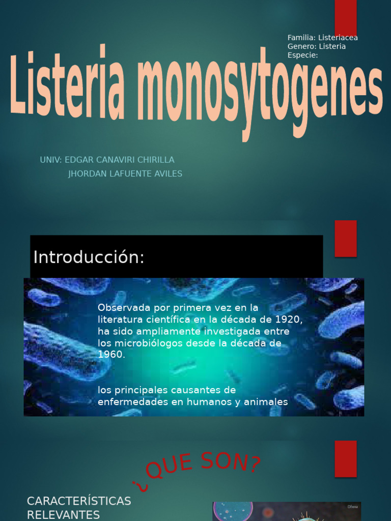 Presentacion Listeria | PDF