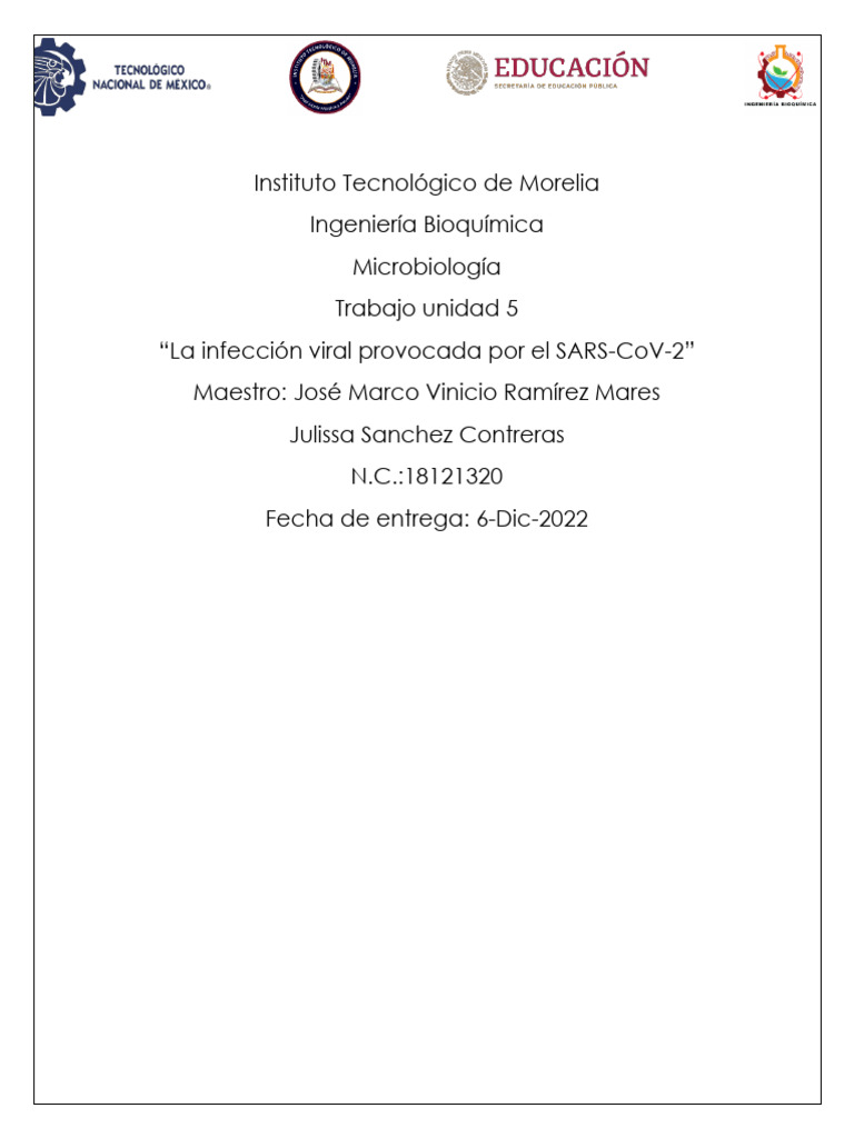 Julissa Sanchez U5 MB | PDF | Virus | Influenza