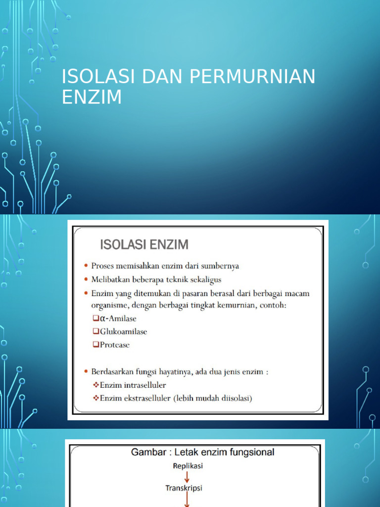 Isolasi Protein Dan Enzim | PDF