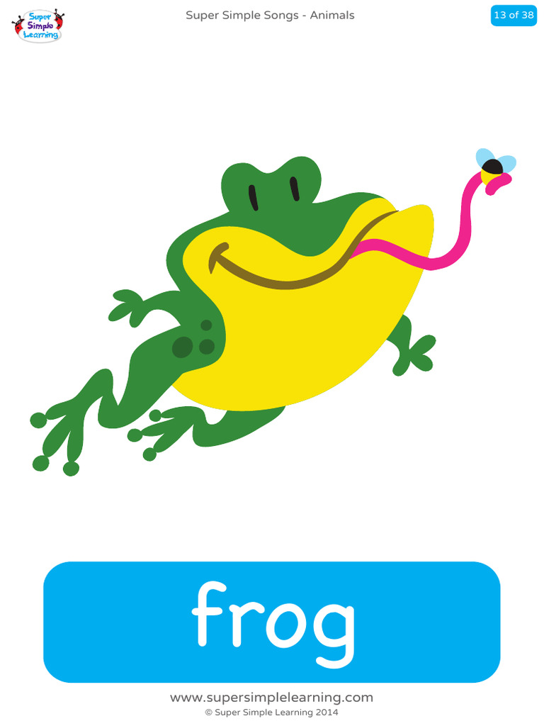 walking in the jungle flashcards | PDF