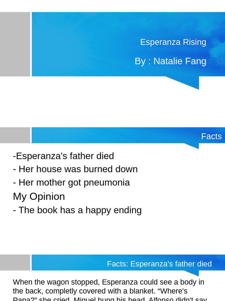 Papa's Death in Esperanza Rising | PDF