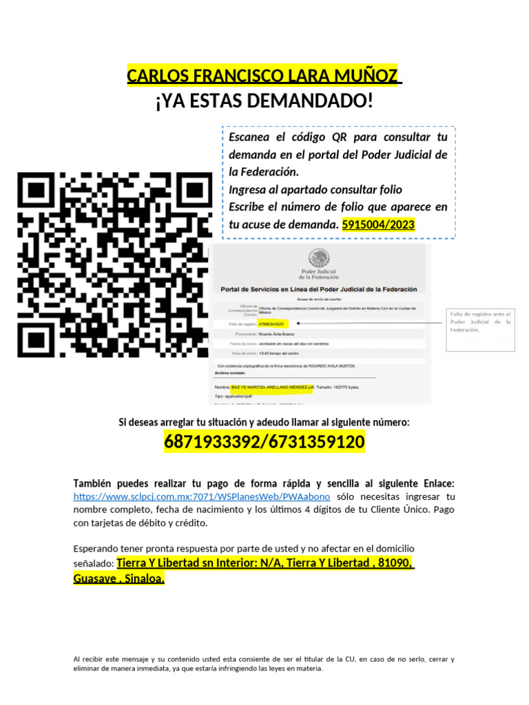 Carta Demanda Carlos Francisco | PDF