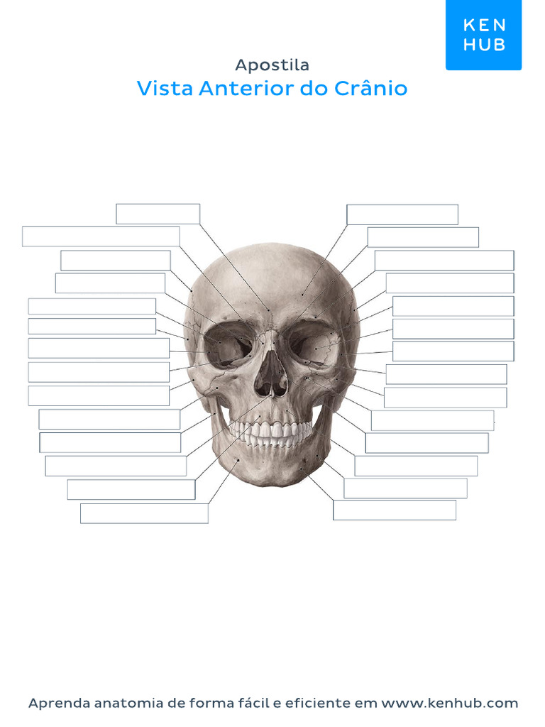 Exercicios Vista Anterior Do Cranio PDF Branco | PDF