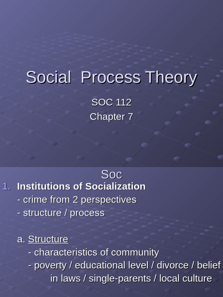 Social Process Theory Overview | PDF | Social Psychology | Behavioural ...