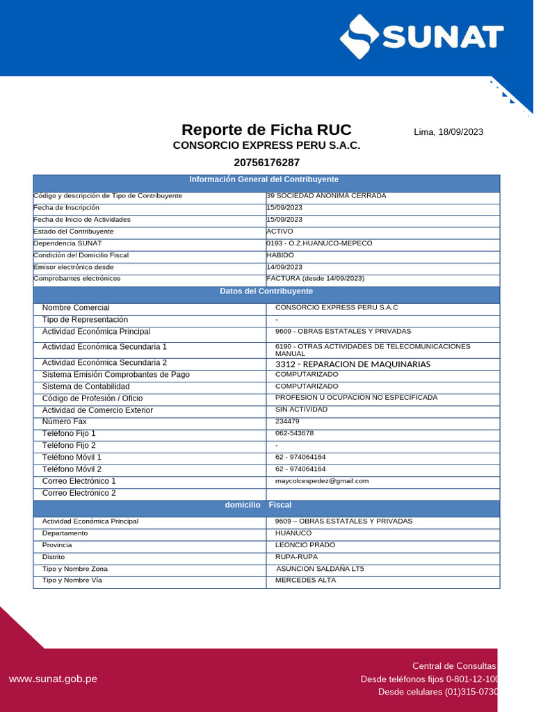 Ficha Ruc Consorcio Express Peru | PDF | Telecomunicaciones ...