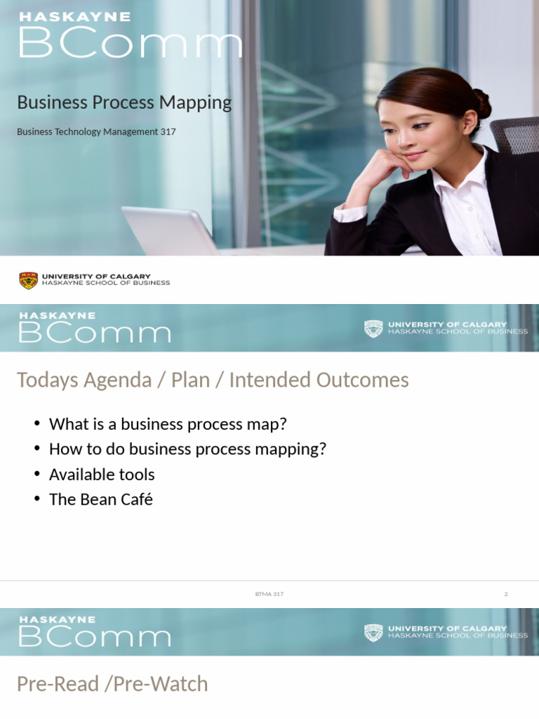 BTMA317 2.2 Business Process Mapping | PDF | Business