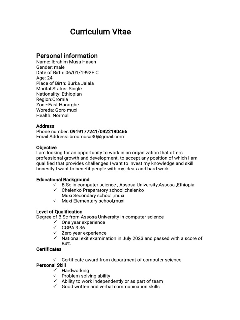 Ibrahim Musa Hasen CV and Job Application | PDF