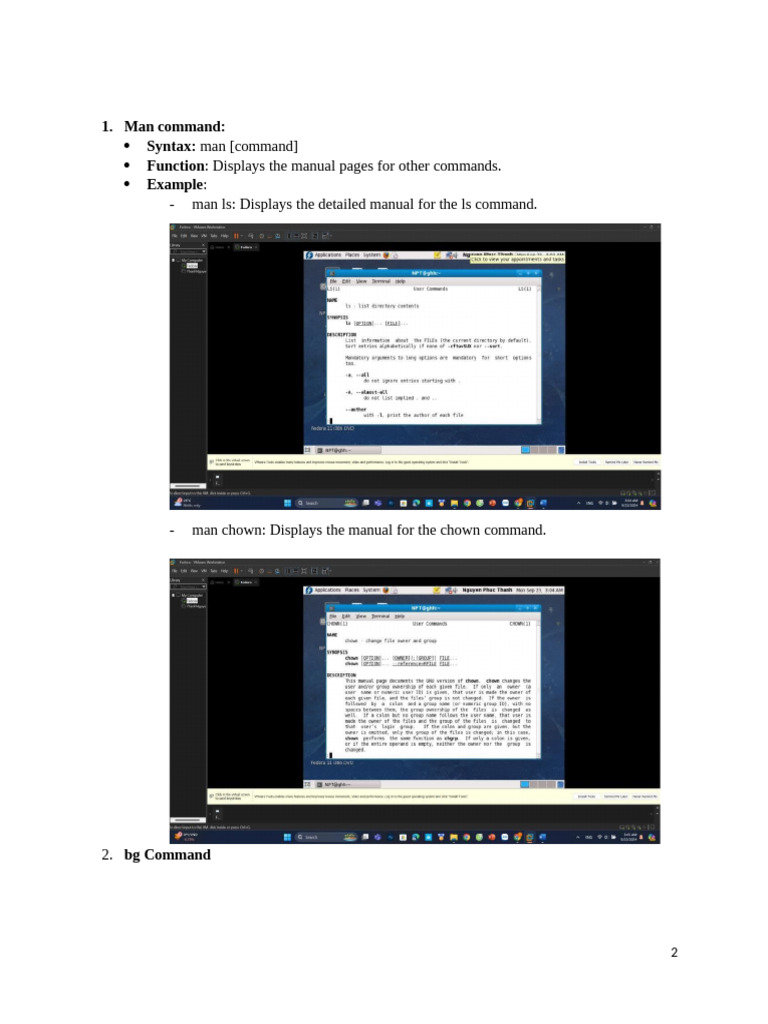 Essential Linux Command Guide | PDF | User (Computing) | Directory ...