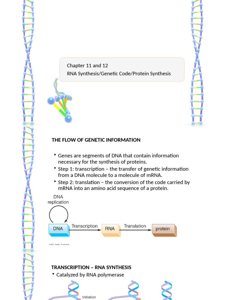 Chapter 11 & 12 RNA Synthesis Genetic Code Protein Synthesis | PDF | Translation (Biology ...