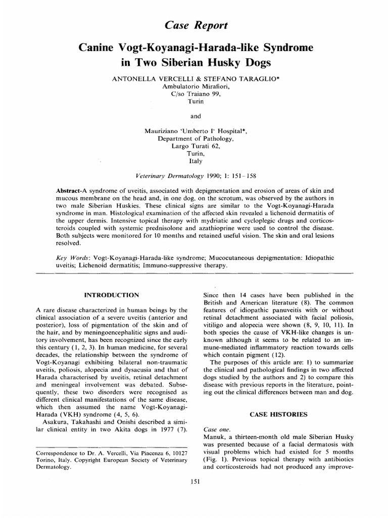 Canine Vogt-Koyanagi-Harada-like Syndrome in Two Siberian Husky Dogs ...