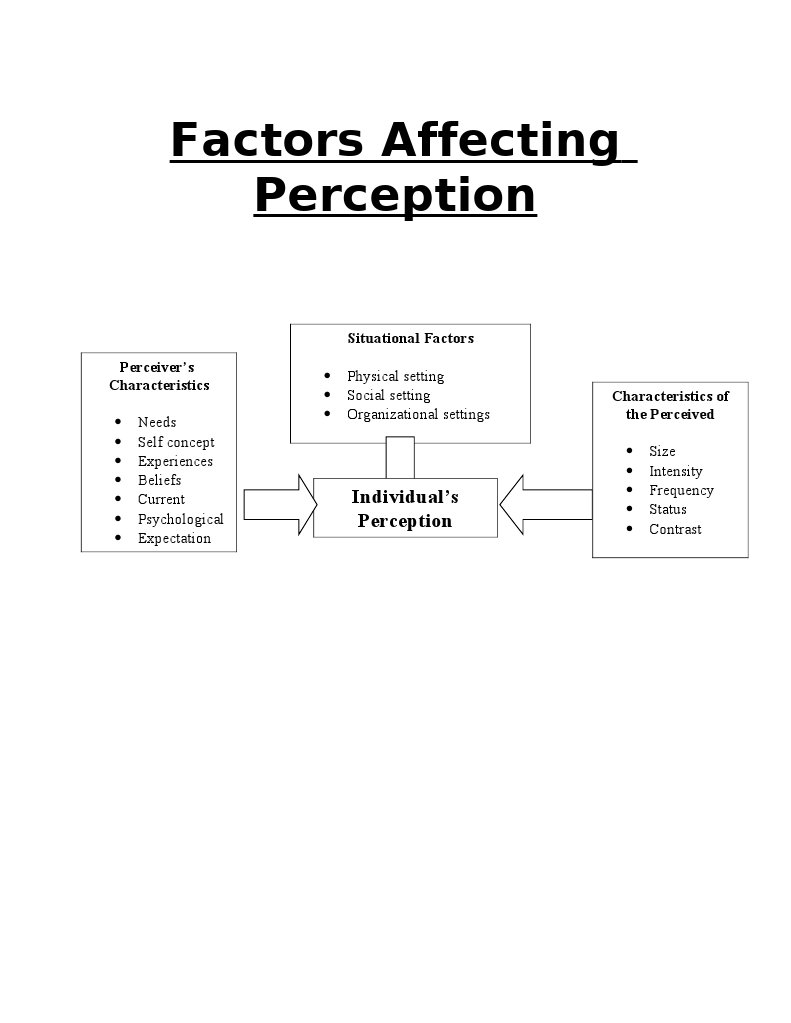 Factors Affecting Perception | PDF