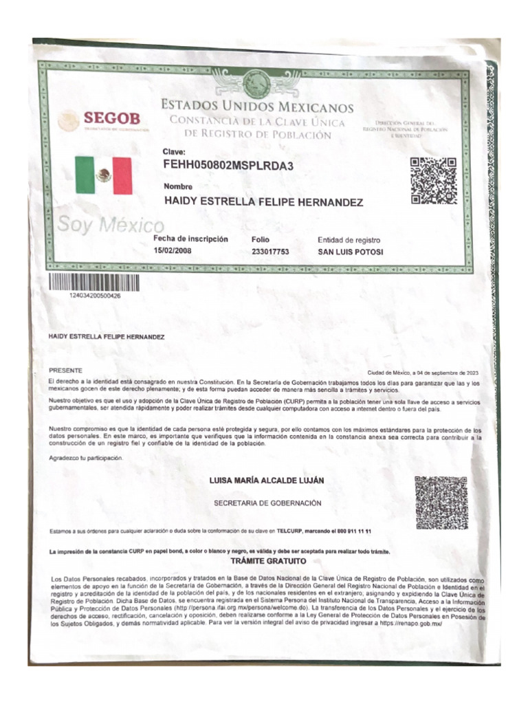 CURP | PDF