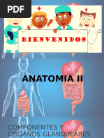 Cultura Chachi | PDF