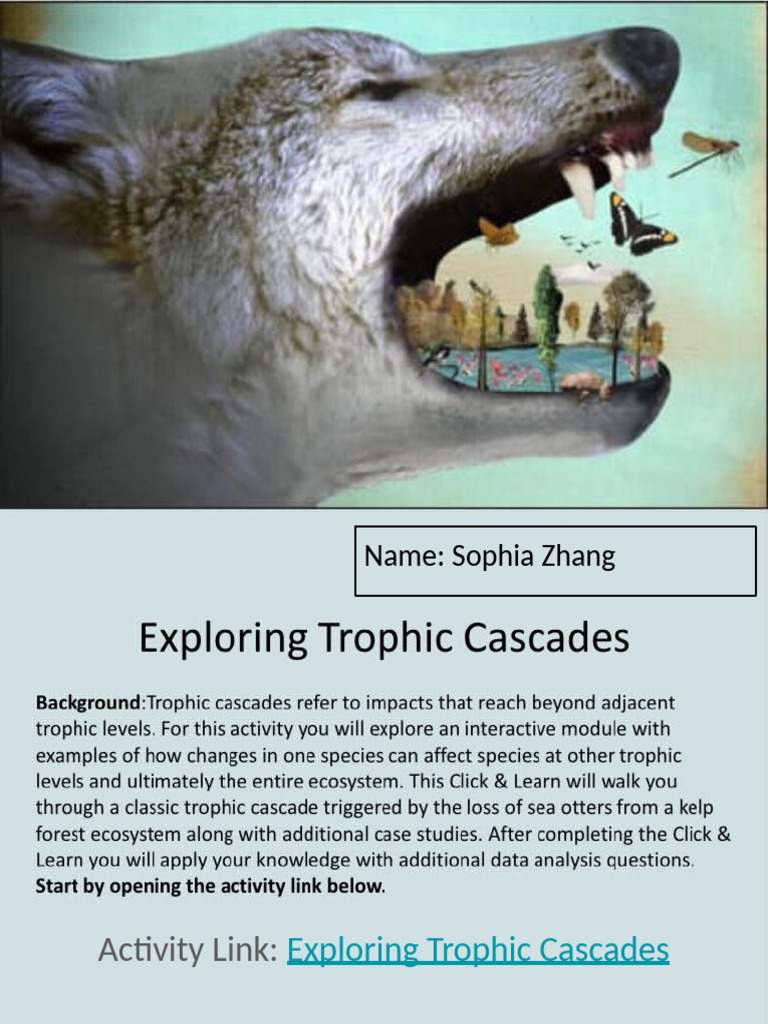 Exploring Trophic Cascades | PDF | Ecology | Natural Environment