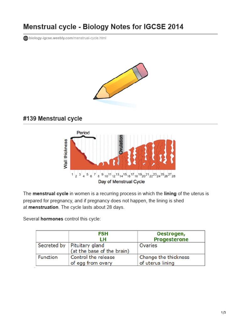 Understanding the Menstrual Cycle | PDF