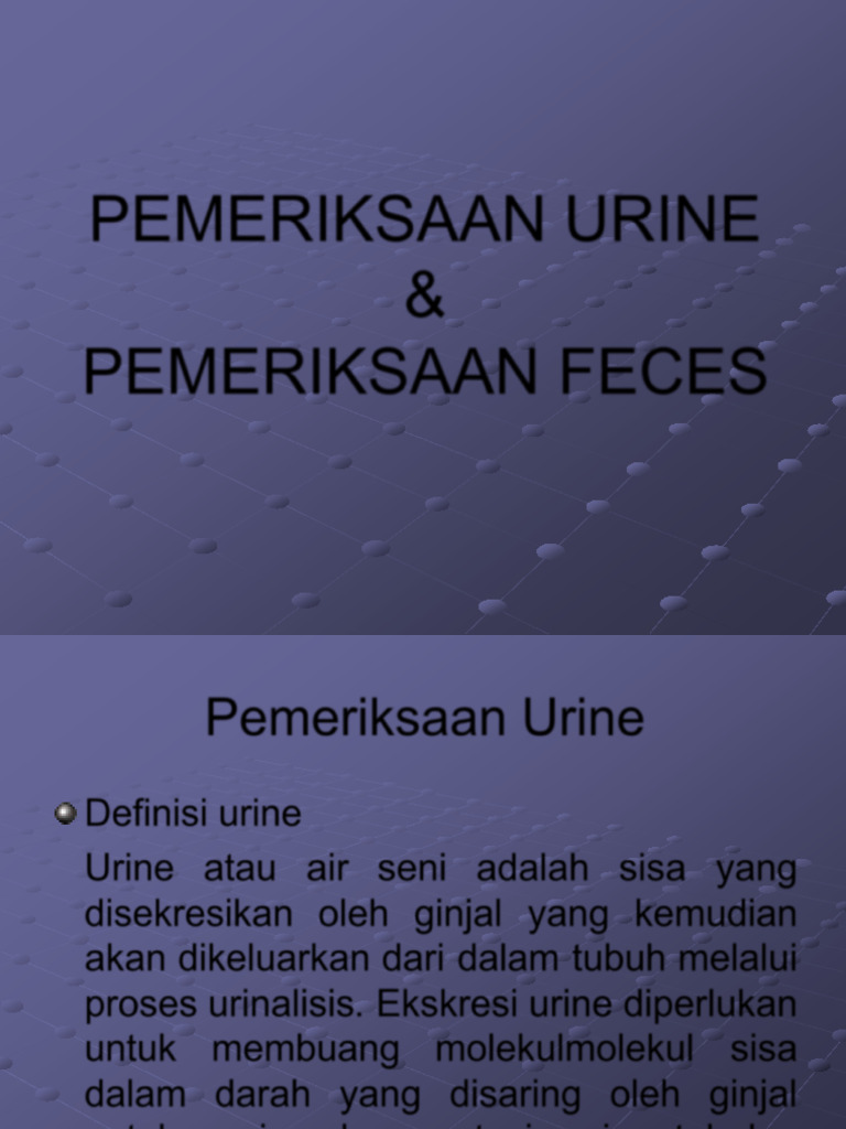 Pemeriksaan Urin Dan Feses by Dosen UIM Dan Payan Nahampun | PDF
