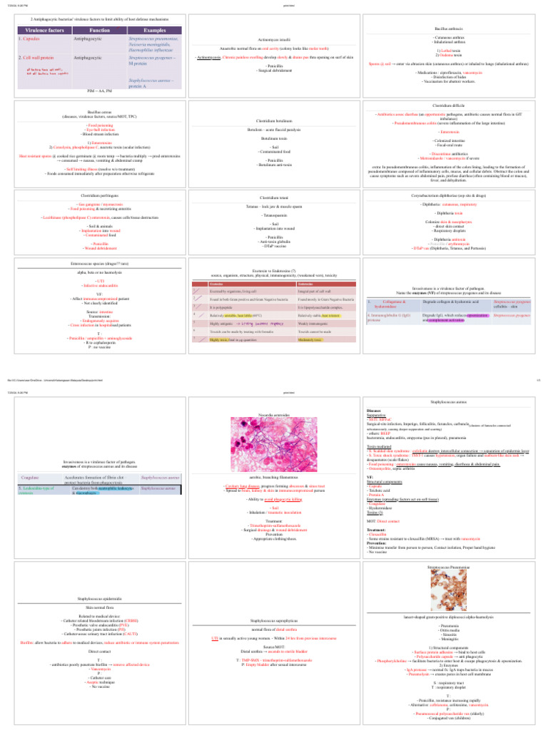 Bacterial Virulence Factors Overview | PDF | Anthrax | Streptococcus